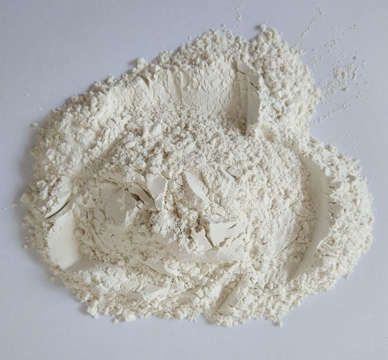NANO CLAY POWDER 100G – Only Results Count